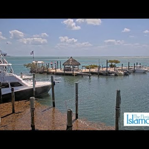Watch Whale Harbor live webcam in Islamorada - United States |Pictimo