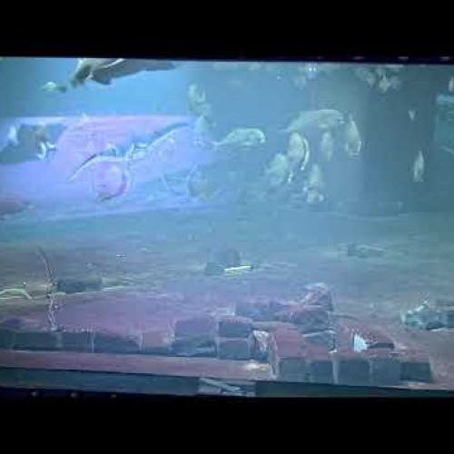 Watch Budapest Zoo Aquarium Live: Shark School & Underwater Wonders ...